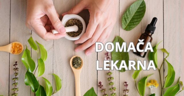 Domača lekarna v poletnem času - Biomons